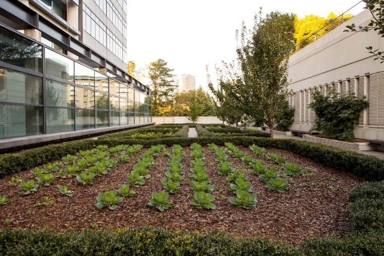 Campus - Perimeter Summit